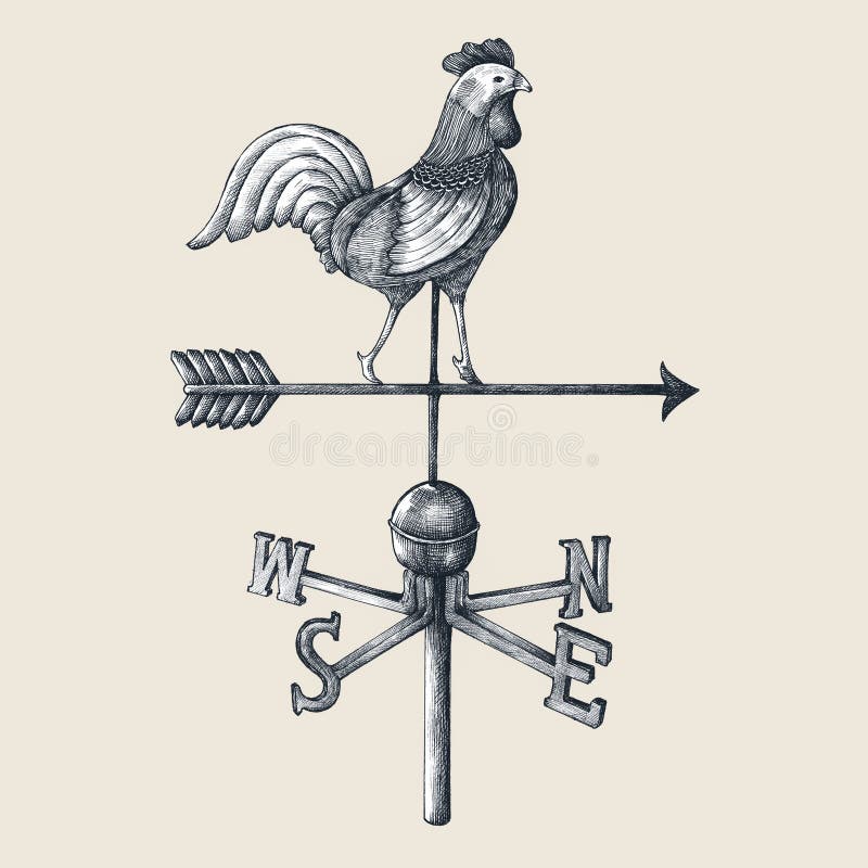 Chicken Wind Direction Stock Illustrations – 535 Chicken Wind Direction ...