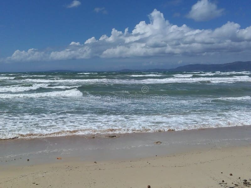Beach at spring stock photo. Image of waves, wind, beach - 114241650