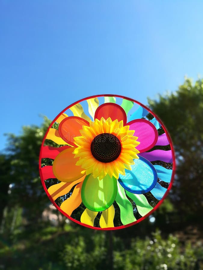 Free as a wind stock image. Image of beautiful, pretty - 5565107