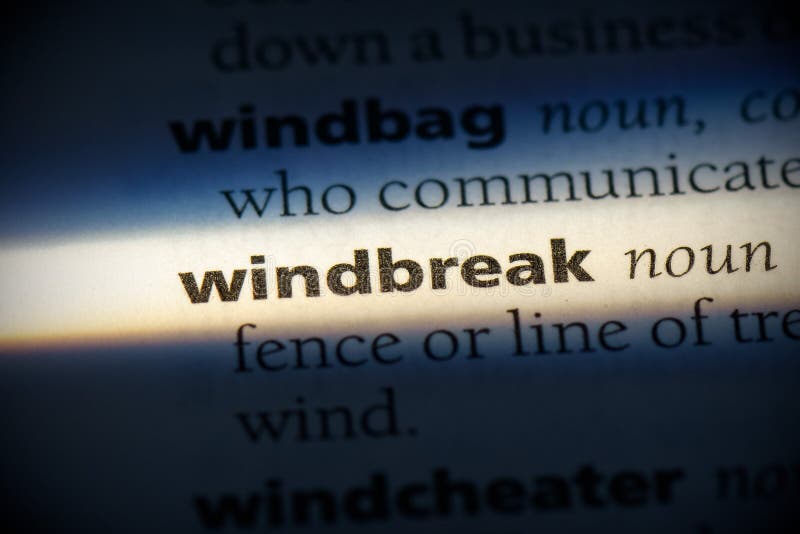 Windbreak stock photo. Image of writing, book, education - 161575988
