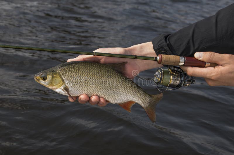 Winde-vissen Ter Beschikking Van Visser Met Staaf Stock Foto - Image of ...