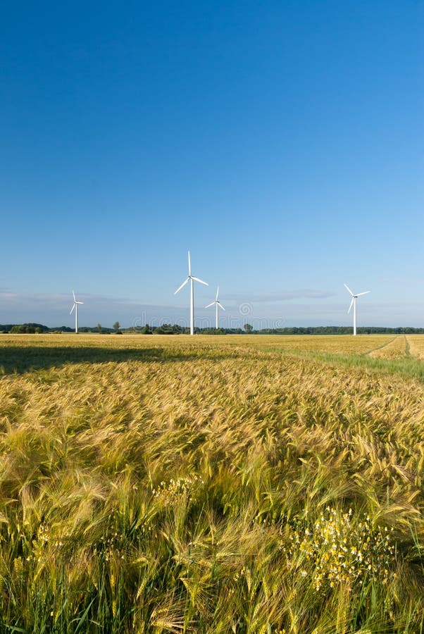 Windfarm stock photo. Image of warming, industrial, technology - 32636082