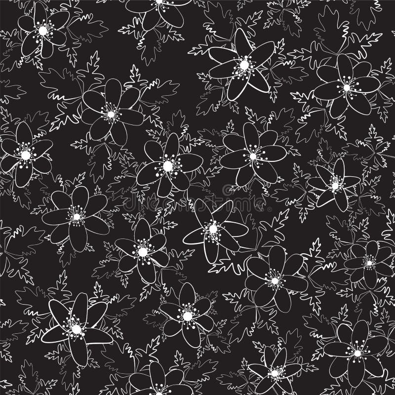 Windflower Stock Illustrations – 338 Windflower Stock Illustrations ...