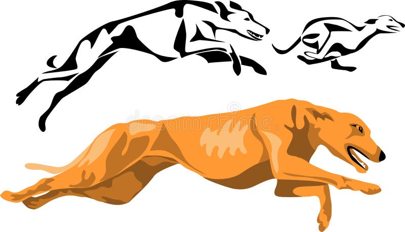 Windhond vector illustratie. Illustration of jacht, lopen - 39553660