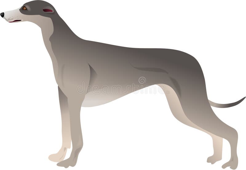 De Kraai van de schrik vector illustratie. Illustration of tuin - 3131160