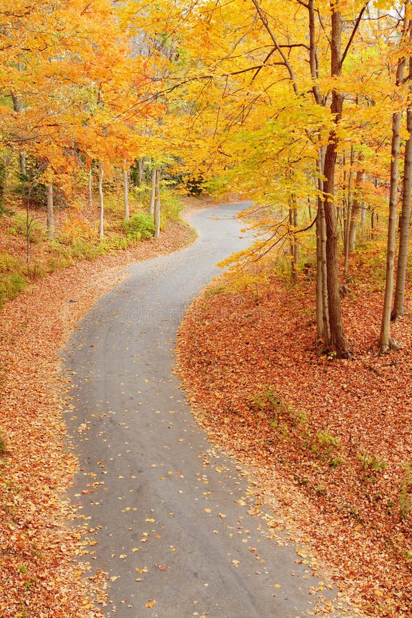 Fall alley stock image. Image of vibrant, gate, ground - 6090925