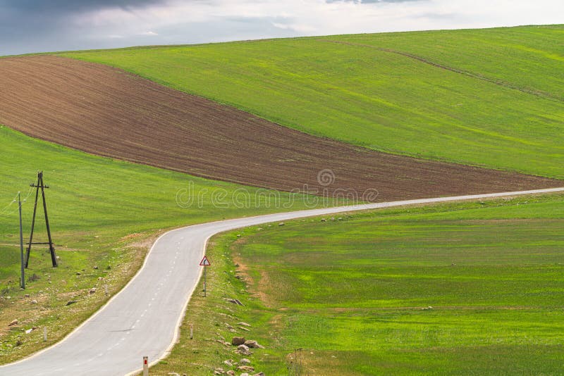 Asphalt Road between Green Farm Fields Stock Image - Image of ...