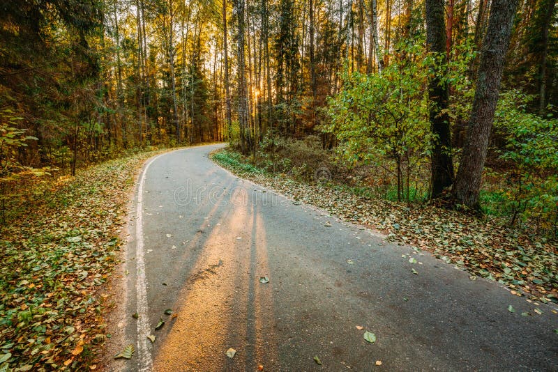Winding Asphalt Road Path Walkway through Autumn Forest. Sunset Stock ...