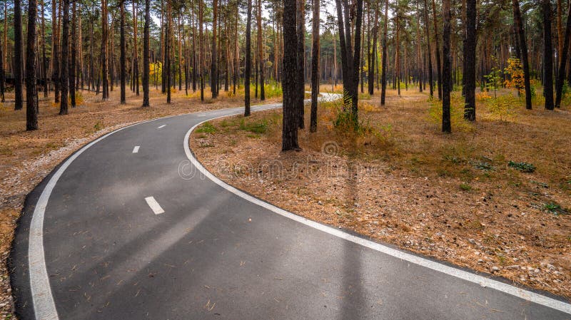A Winding Bicycle and Running Paved Path in the Autumn Forest Stock ...