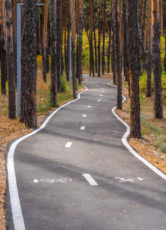 A Winding Bicycle and Running Paved Path in the Autumn Forest Stock ...