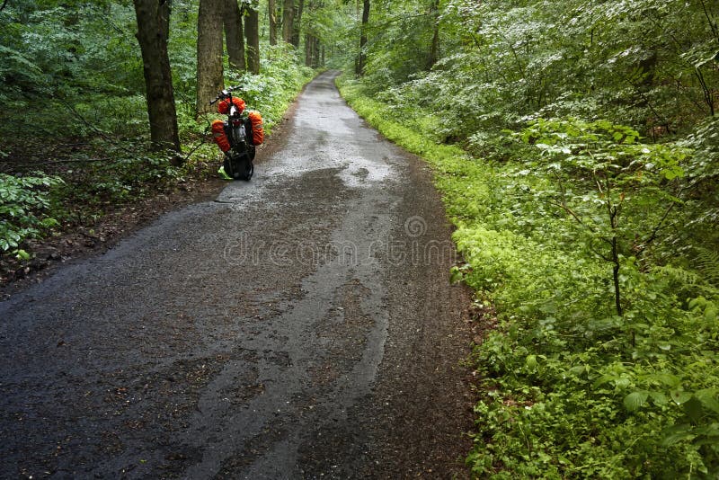 Winding Bike Path in a Dense Forest on a Rainy Day Stock Image - Image ...