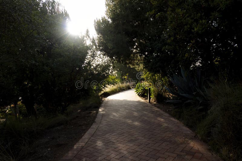 Dark Shaded Path Surrounded with Lush Landscape Opens into Bright Sunny ...