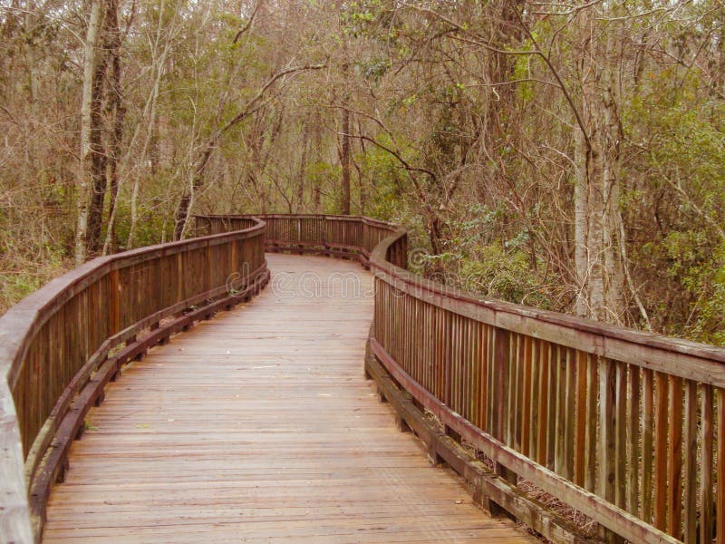 Winding Bridge stock image. Image of nature, path, wooden - 41046055