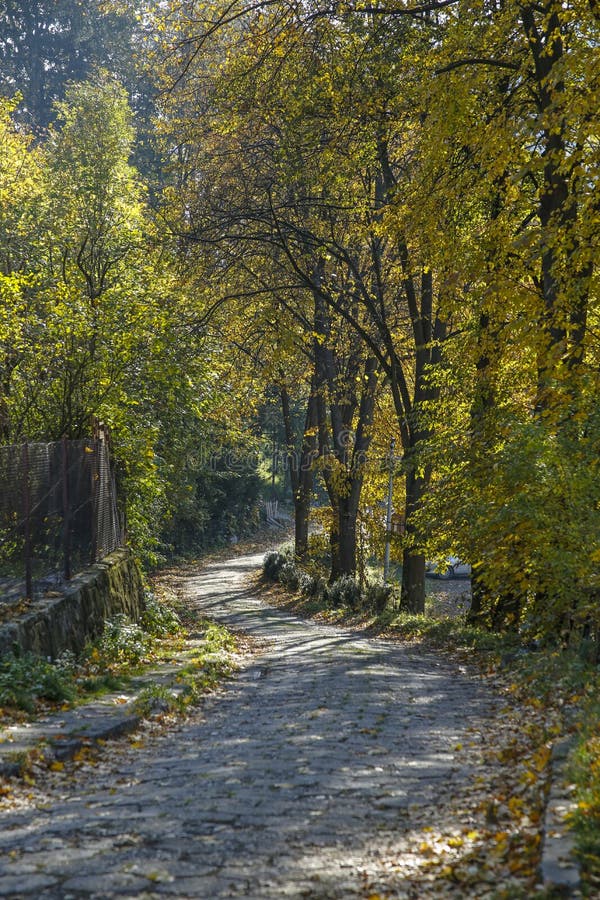 Winding cobblestone path stock image. Image of cobbled - 14461265