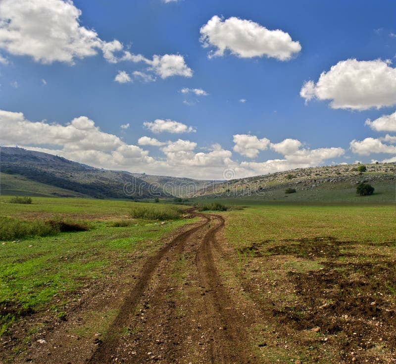 Winding Dirt Path through Green Grass Along Appalachian Trail Stock ...