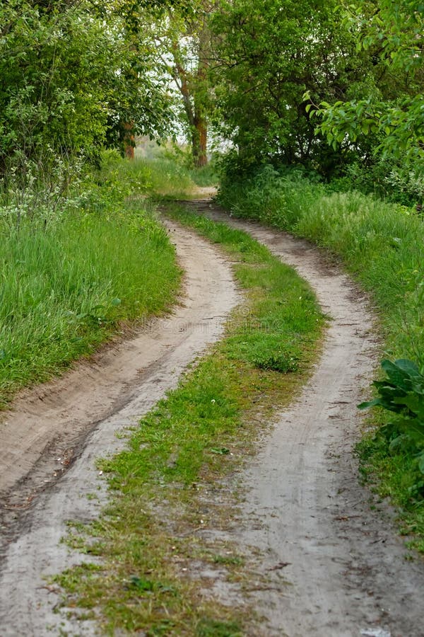 Winding Dirt Road in the Countryside with Trees and Green Grass Stock ...