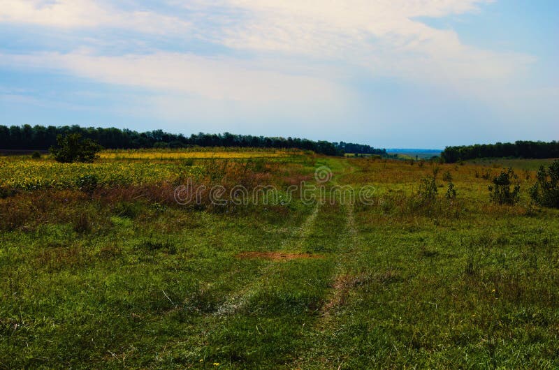 Winding Dirt Road in the Meadow. Twisting Path. Pathway on a Green ...