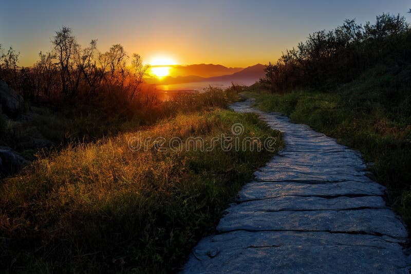 Winding Duckboards Path in Forest Extending Far Beyond Horizon Stock ...