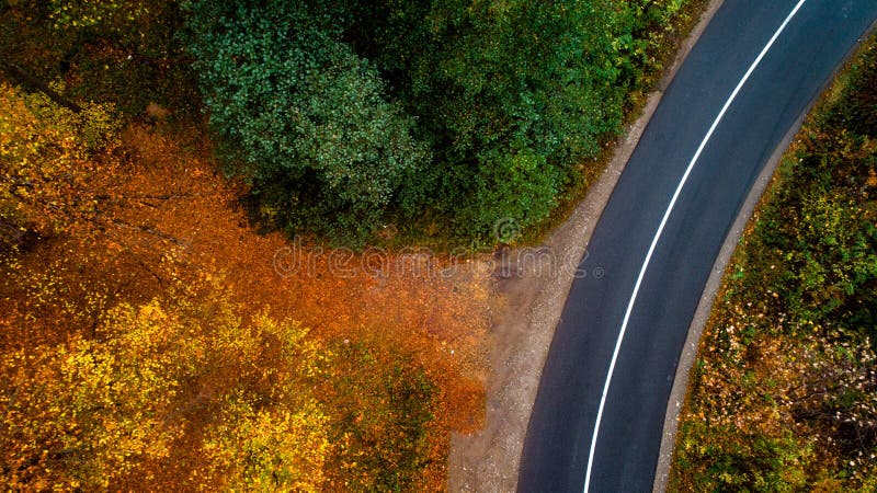 Winding Empty Road in Autumn Forest. Top View Stock Photo - Image of ...