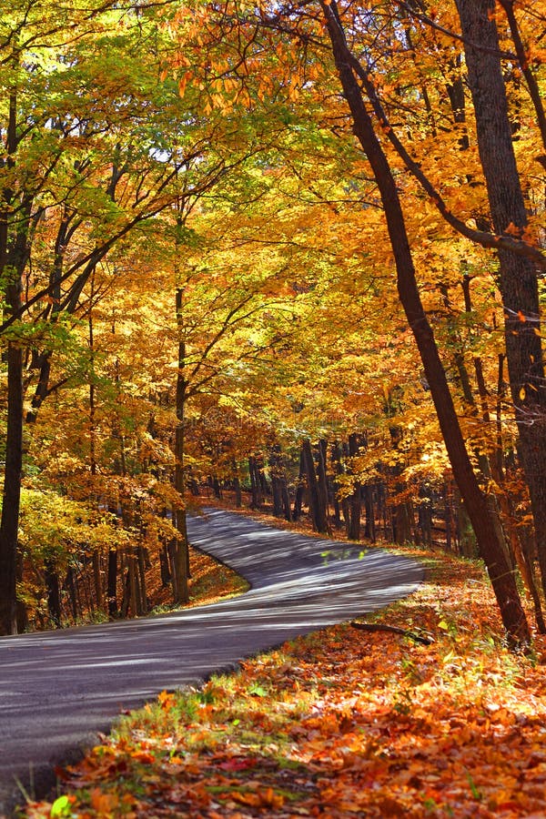Winding Fall road stock photo. Image of foliage, winding - 72019328