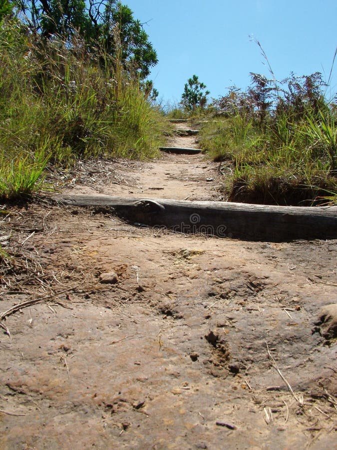 Winding Footpath Picture. Image: 2593902