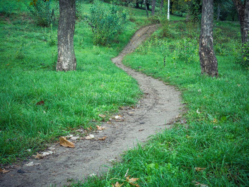 Winding Footpath or Pathway between the Trees in Nature Stock Photo ...