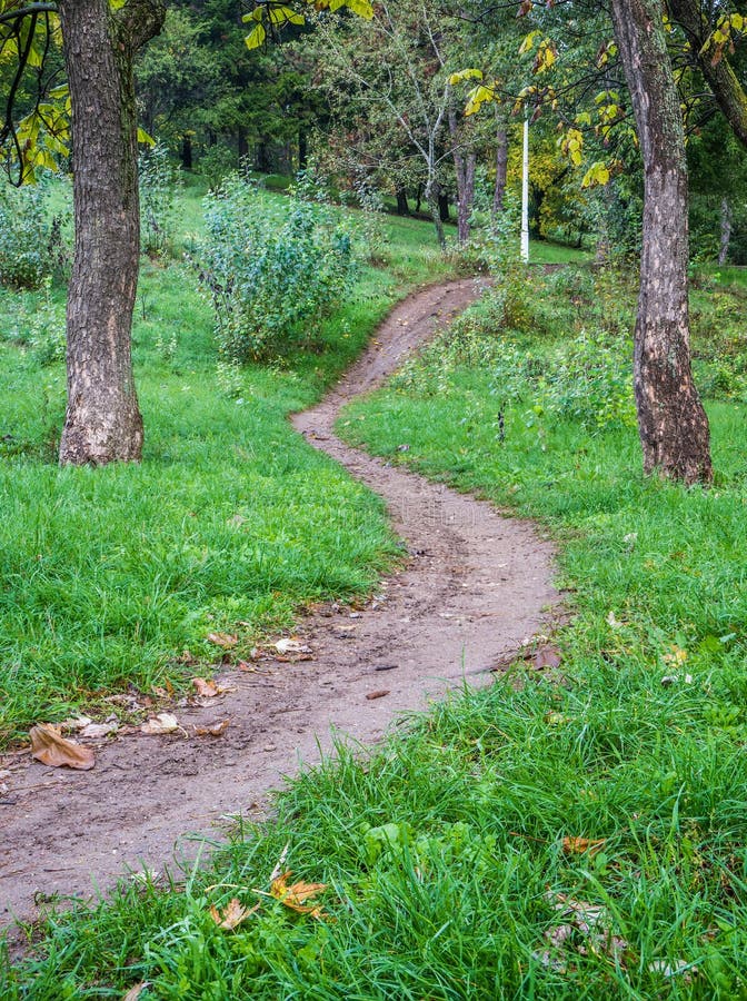 Winding Footpath or Pathway between the Trees in Nature Stock Photo ...