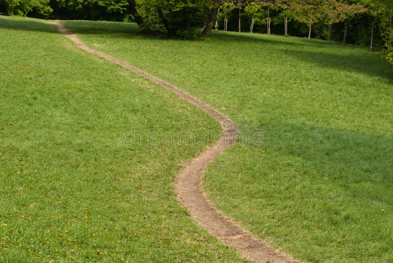 Winding Footpath through Beech Tree Forest with Wood Garlic in Spring ...