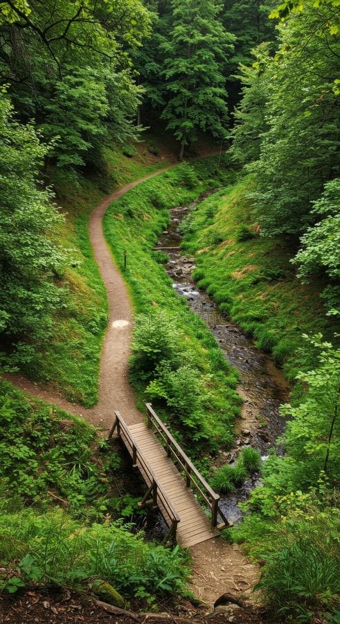 Winding Forest Path with Creek and Wooden Bridge Stock Illustration ...
