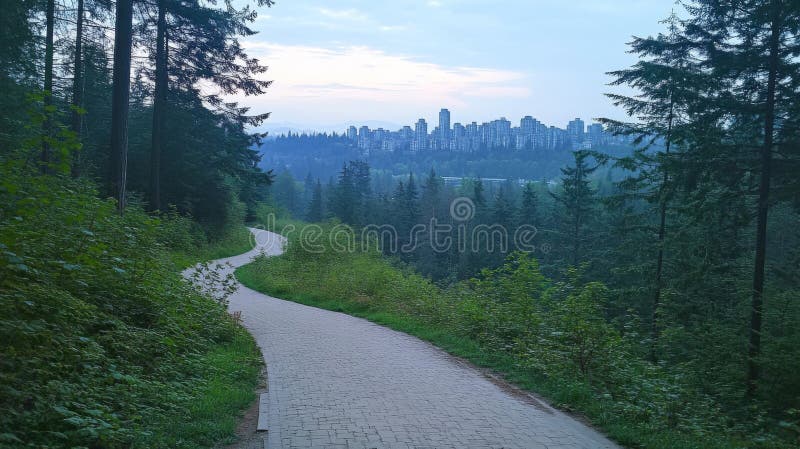 Winding Forest Path Leads To Distant City Skyline Stock Illustration ...