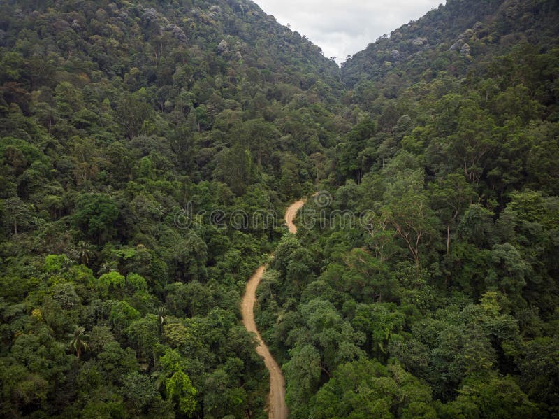 Winding Forest Road Aerial View Stock Image - Image of jungle, bird ...