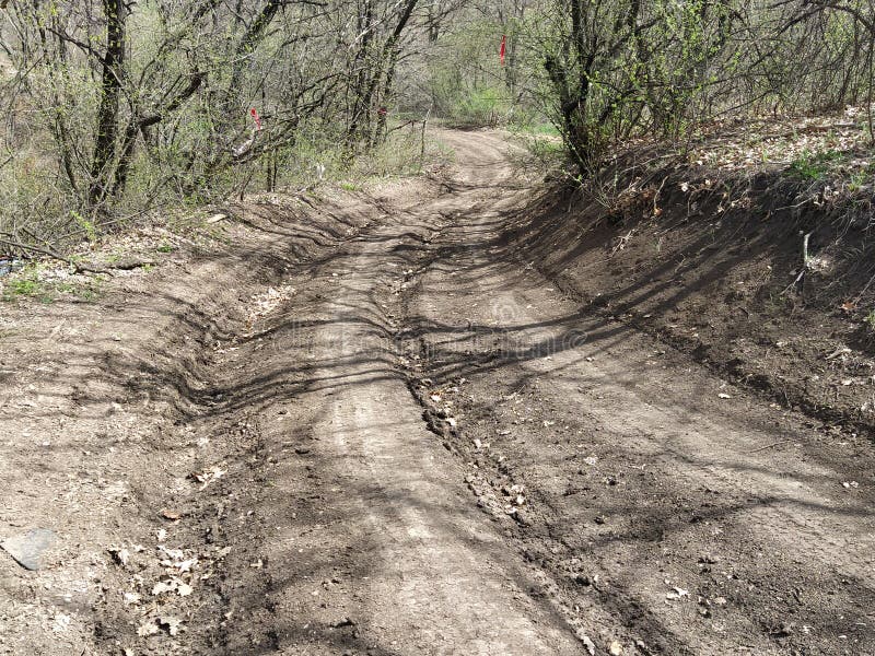 A Winding Forest Road Going Down in Spring Stock Image - Image of ...