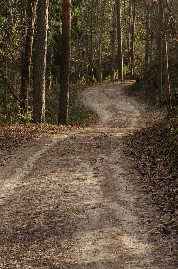 Winding Forest Road in Ogre, Latvia Stock Photo - Image of beautiful ...