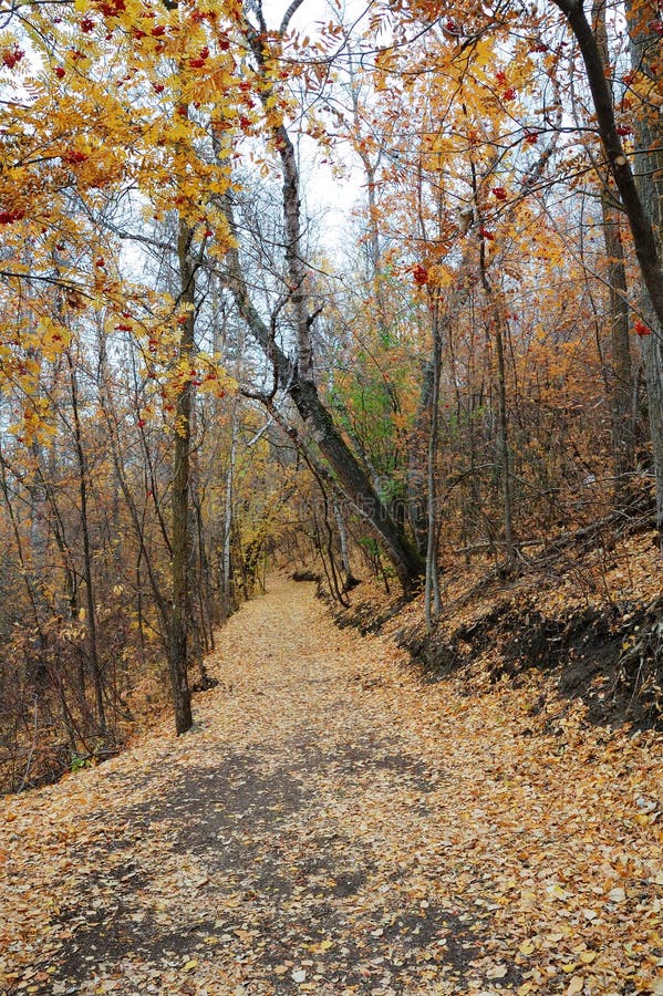 Winding Trail To Mountain Top Stock Photo - Image of decline, meadows ...