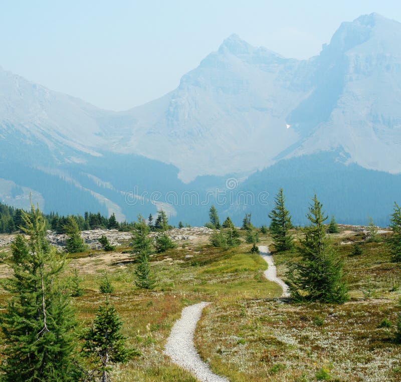 Winding Hiking Trail in Sunshine Meadows Stock Image - Image of sinuous ...