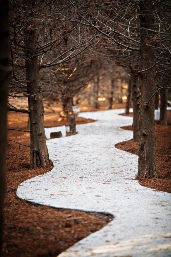 Winding Park Footpath with Bench Stock Image - Image of walk, ground ...