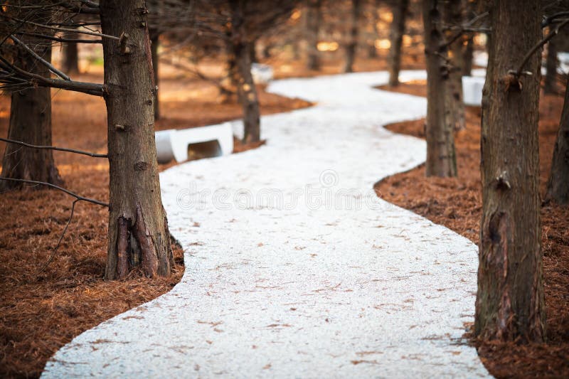 Winding Park Footpath with Bench Stock Image - Image of trail, ground ...
