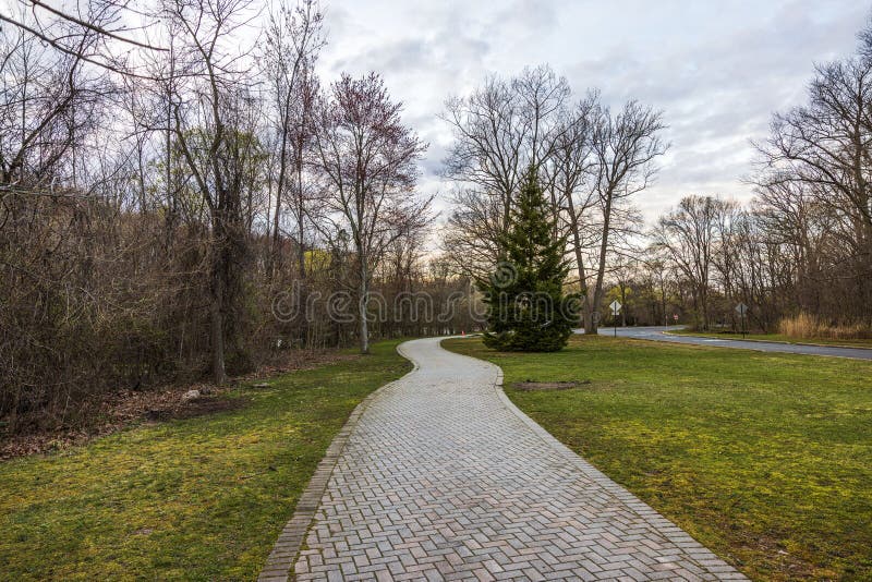 Winding Park Pathway Surrounded by Trees and Greenery on Calm Spring ...