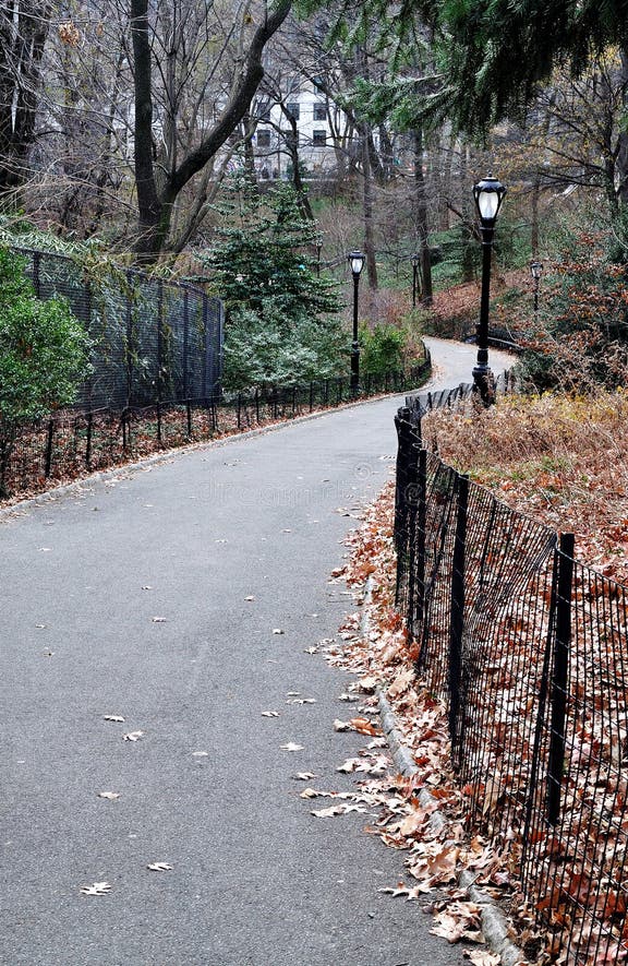 Winding Path in Central Park Stock Photo - Image of leisure, tree: 25832346