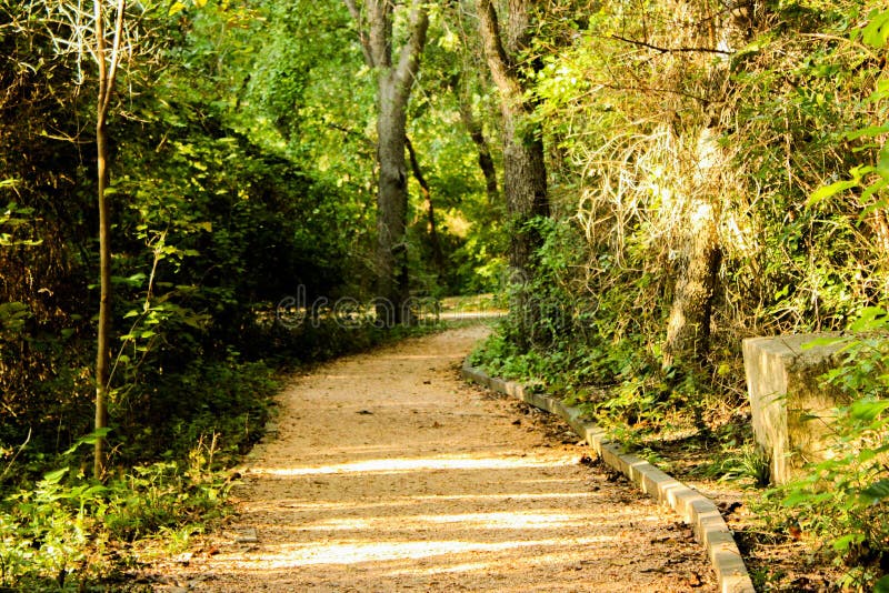 Winding Path in the Nature, with a Breathtaking View of the Rolling ...