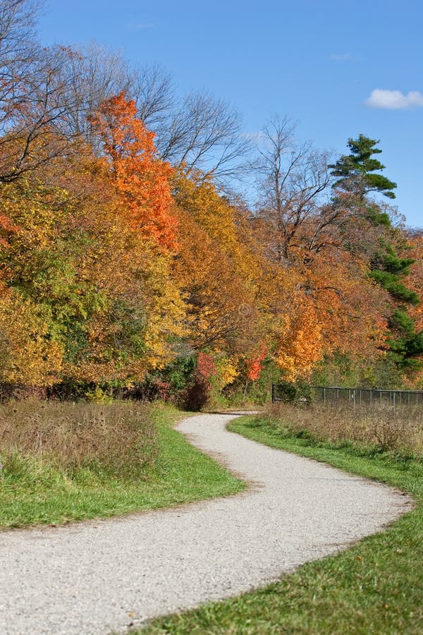 Winding Path with Fall Colors Stock Image - Image of leaves, fall: 14502811