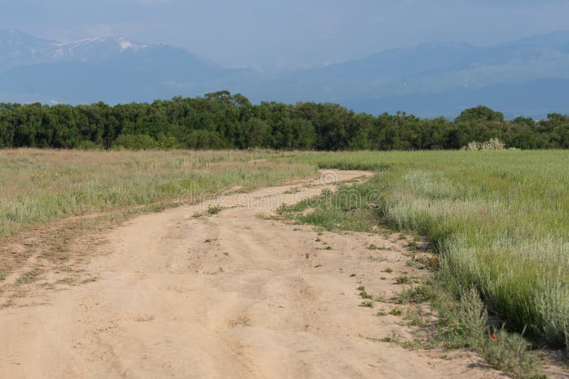 Winding Path Going into the Distance, Nature Outside the City, Trees ...