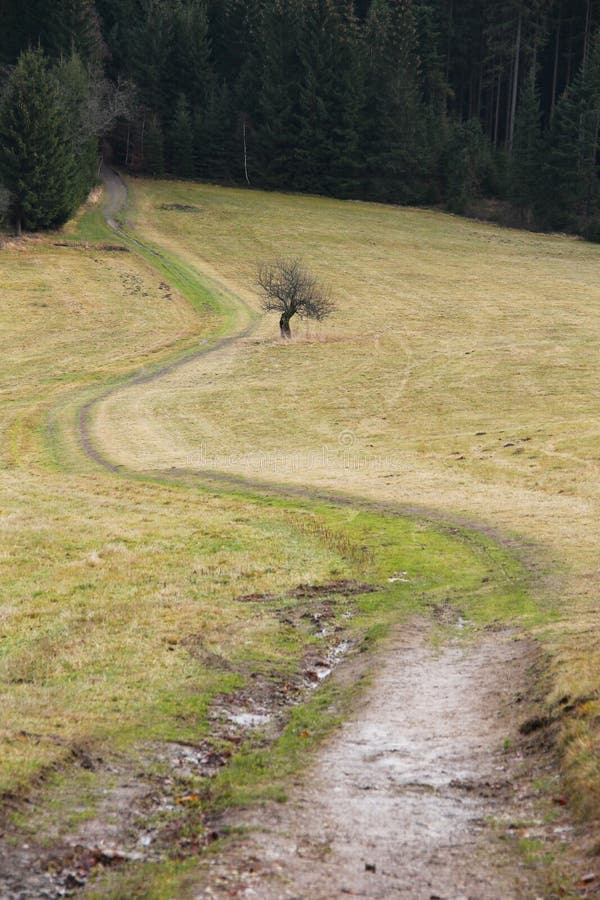 Winding path stock photo. Image of solitary, hiking, lonely - 63651722