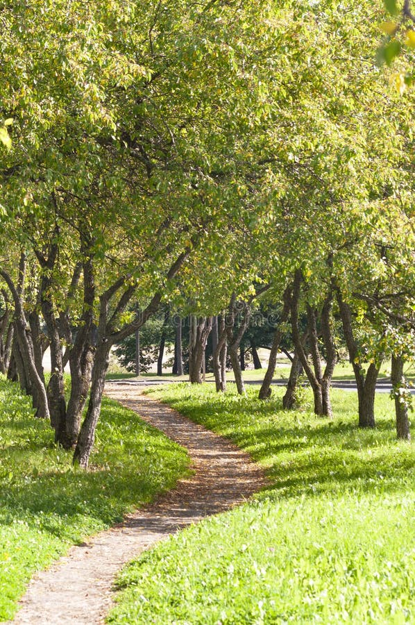 Winding path through park stock image. Image of park - 10572491