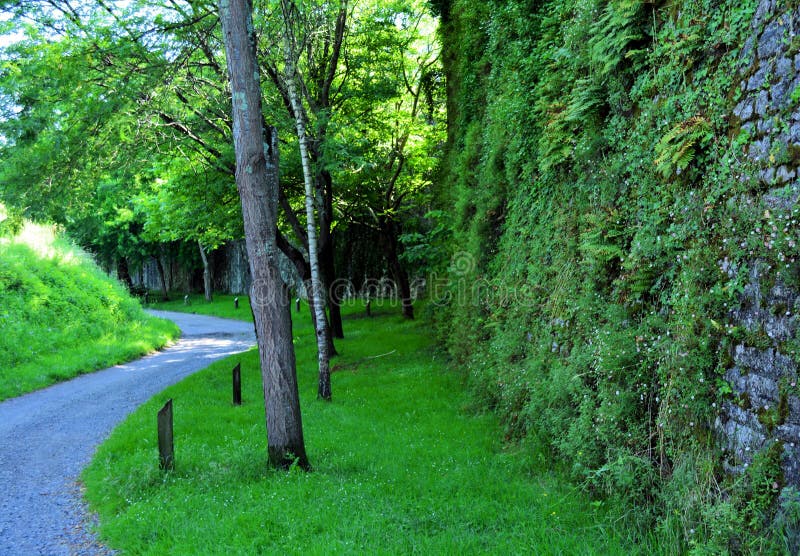 Winding Path through Trees Alongside a Rock Wall Stock Image - Image of ...