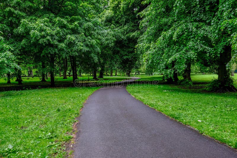 Winding Path through the Trees in Bute Park, Cardiff, Wales Stock Photo ...
