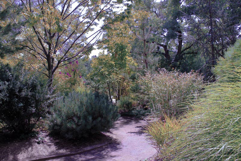 A Winding Path stock photo. Image of pathway, woods, walkway - 89027920