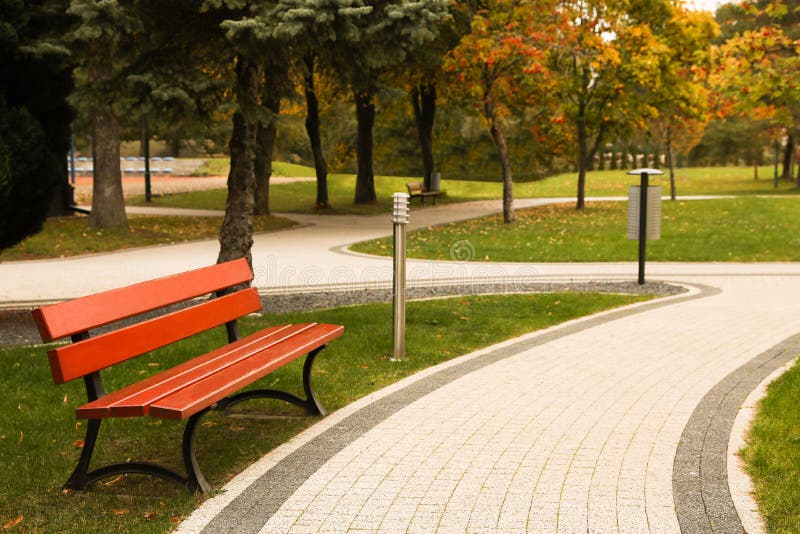 Winding Pathway with Beautiful Trees and Bench in Park Stock Image ...