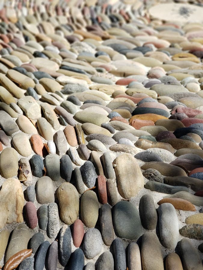 Pebbled Path in the Garden with a Flower Bed. Stock Image - Image of ...