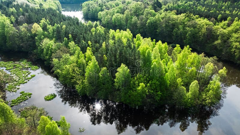 Winding River and Forests at Spring. Nature in Poland Stock ...